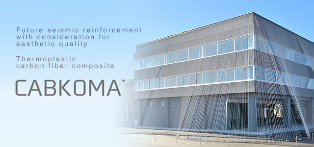 Future seismic reinforcement with consideration for aesthetic quality ...